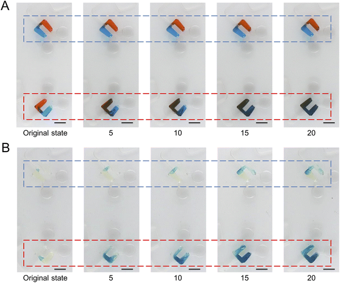 A nanoparticle-coated microfluidic chip for automated, non-destructive ...