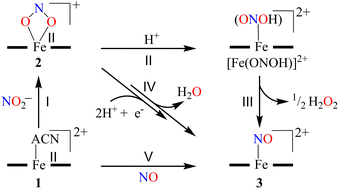 Acid-induced nitrite reduction of nonheme iron( ii )-nitrite: mimicking ...