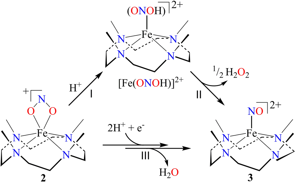 Acid-induced nitrite reduction of nonheme iron( ii )-nitrite: mimicking ...