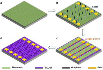 Electrochemical regulation of the band gap of single layer graphene ...