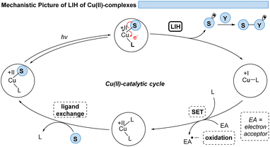 Light-induced homolysis of copper( ii )-complexes – a perspective for ...