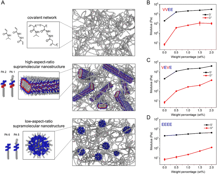 Role of supramolecular polymers in photo-actuation of spiropyran ...