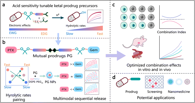 Fine-tuning the sequential drug release of nano-formulated mutual ...
