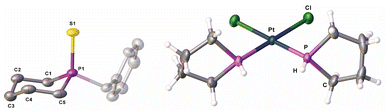 Novel synthetic route for (parent) phosphetanes, phospholanes ...