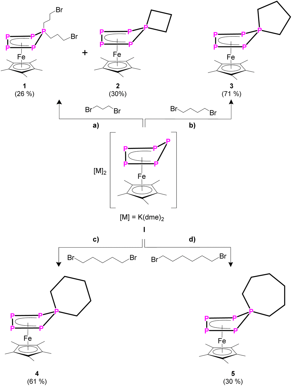 Novel synthetic route for (parent) phosphetanes, phospholanes ...