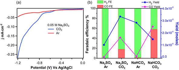 Direct observation of bicarbonate and water reduction on gold ...