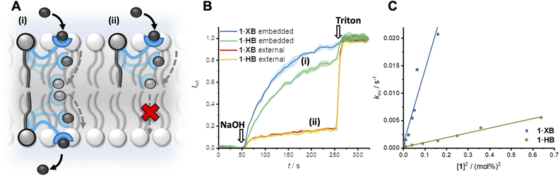 Halogen bonding relay and mobile anion transporters with kinetically ...