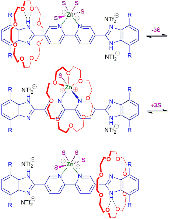 A translationally active ligand based on a [2]rotaxane molecular ...