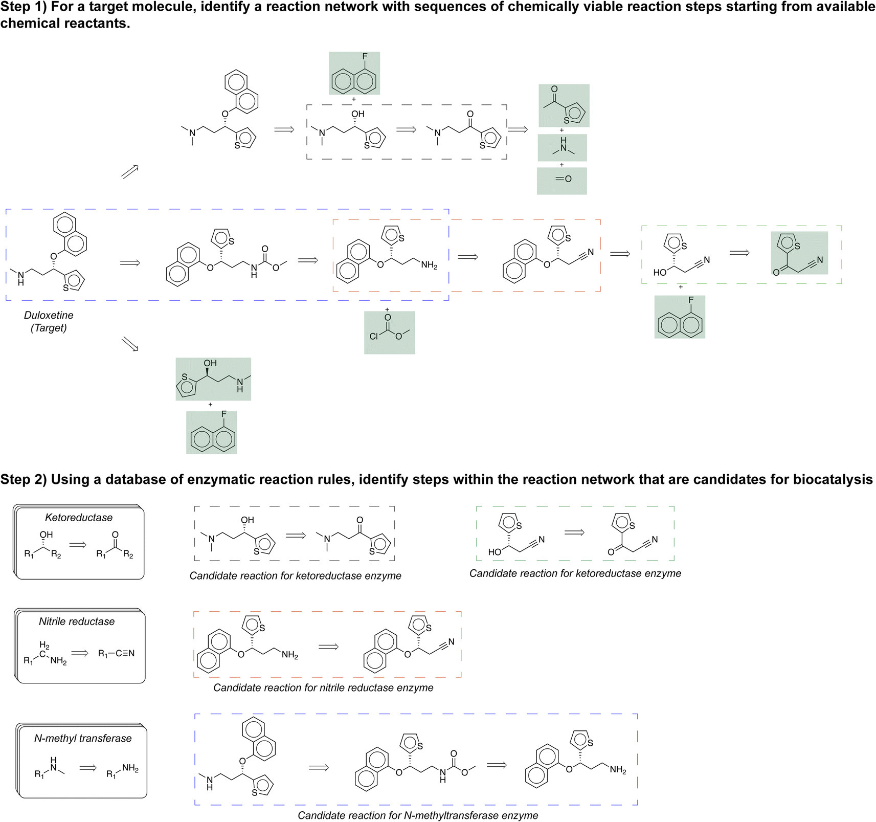 Computer-assisted multistep chemoenzymatic retrosynthesis using a ...
