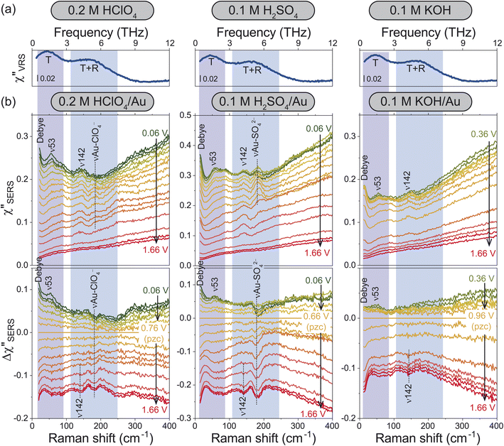 Probing collective terahertz vibrations of a hydrogen-bonded water ...