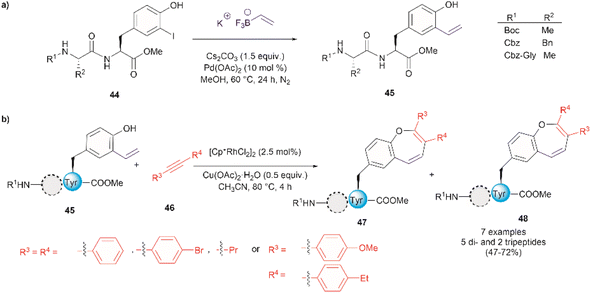 Recent developments in the cleavage, functionalization, and conjugation ...