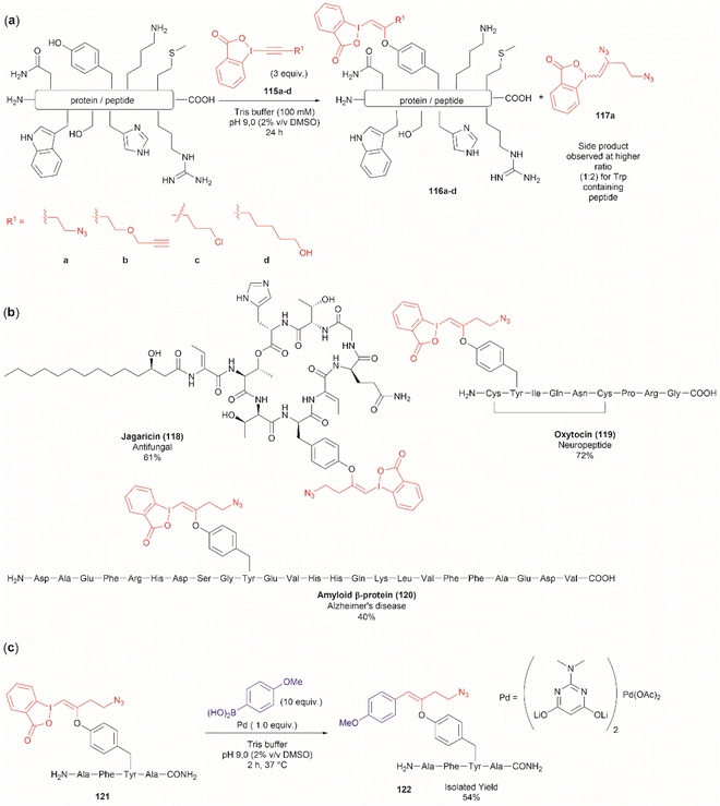 Recent developments in the cleavage, functionalization, and conjugation ...
