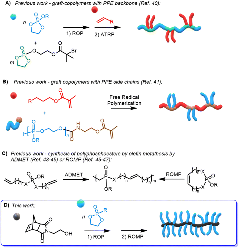 Water-soluble polyphosphonate-based bottlebrush copolymers via aqueous ...