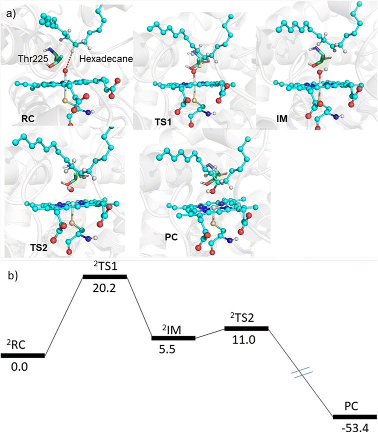 Computationally guided bioengineering of the active site, substrate ...