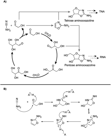 Towards a prebiotic chemoton – nucleotide precursor synthesis driven by ...