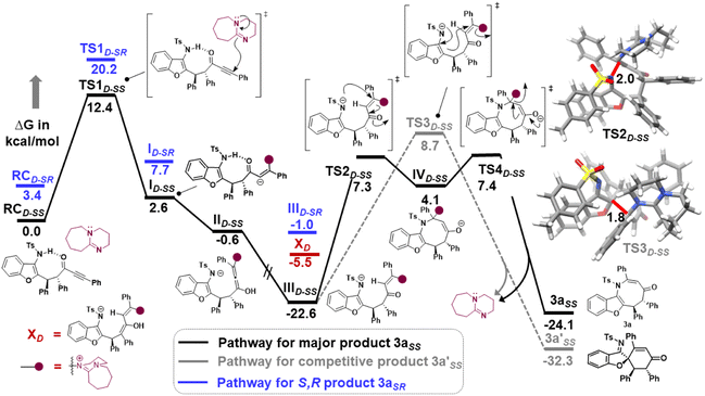 Structurally divergent enantioselective synthesis of benzofuran fused ...