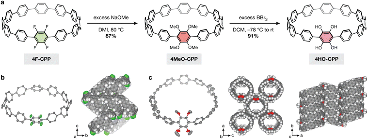 Synthesis and metalation of polycatechol nanohoops derived from ...