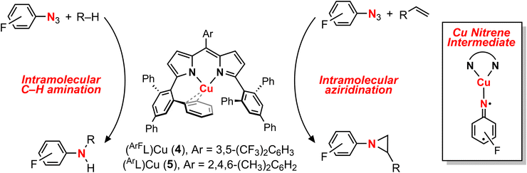 Nitrene transfer from a sterically confined copper nitrenoid dipyrrin ...