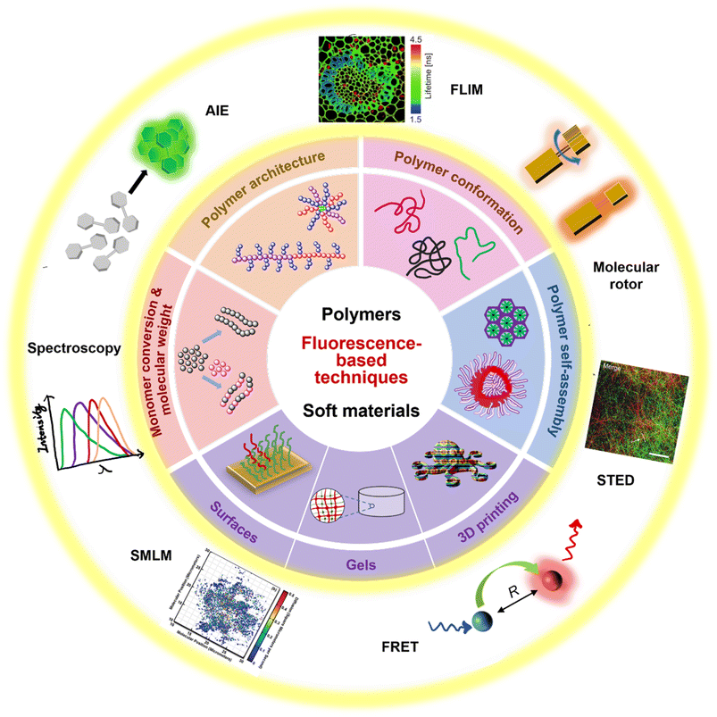 Fluorescence-readout as a powerful macromolecular characterisation tool ...