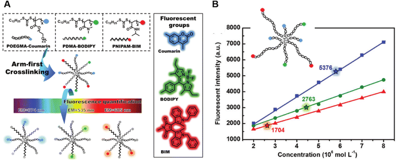 Fluorescence-readout as a powerful macromolecular characterisation tool ...