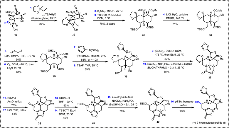 Enantioselective and collective total synthesis of pentacyclic 19- nor ...