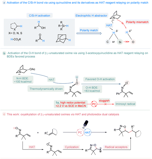 O–H bond activation of β,γ-unsaturated oximes via hydrogen atom transfer (HAT) and photoredox ...