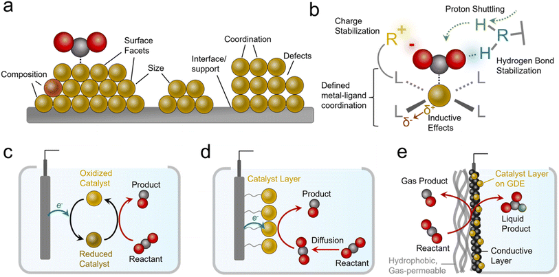 Electrocatalysis with molecules and molecular assemblies within gas ...