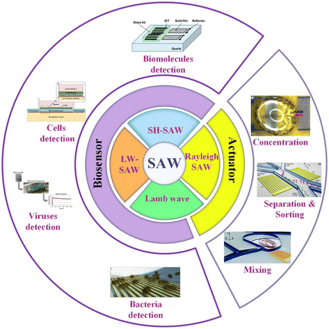 Surface acoustic wave based microfluidic devices for biological ...