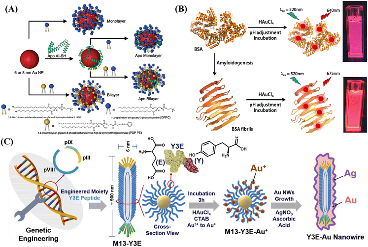 Biomimetic gold nanomaterials for biosensing, bioimaging and biotherapy ...