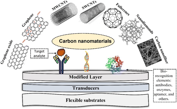 Carbon-based electrochemical biosensors as diagnostic platforms for ...