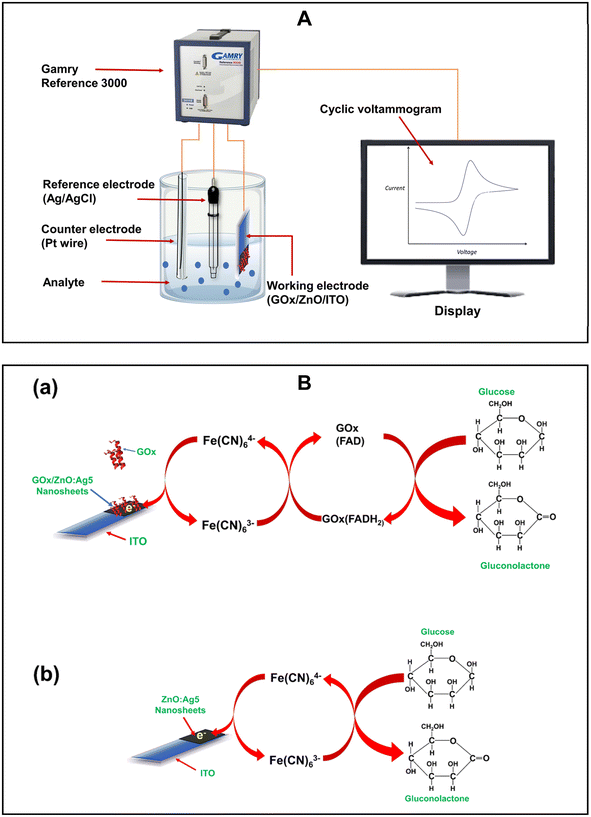 Effect of doping mediated oxygen vacancies on the charge transfer ...