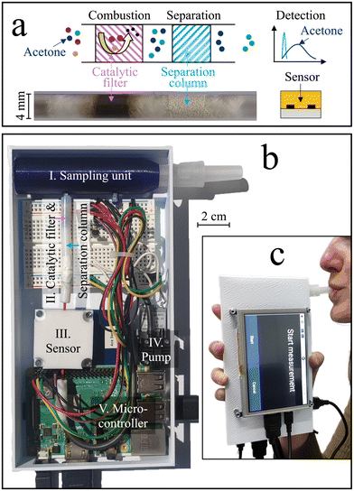 Handheld device quantifies breath acetone for real-life metabolic ...