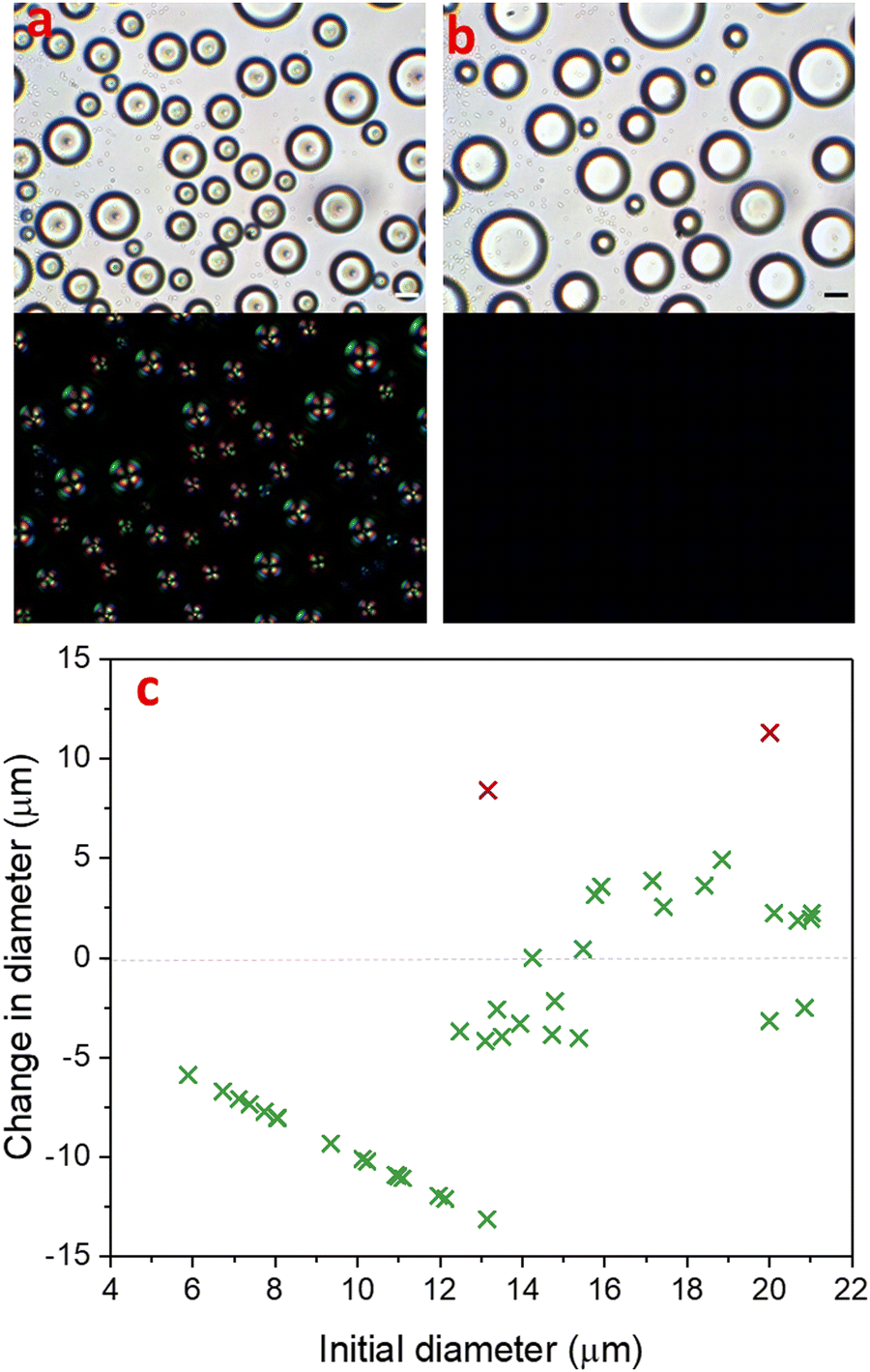 Long term phase separation dynamics in liquid crystal-enriched ...