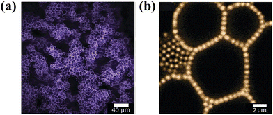 Recent progress in emulsion gels: from fundamentals to applications ...