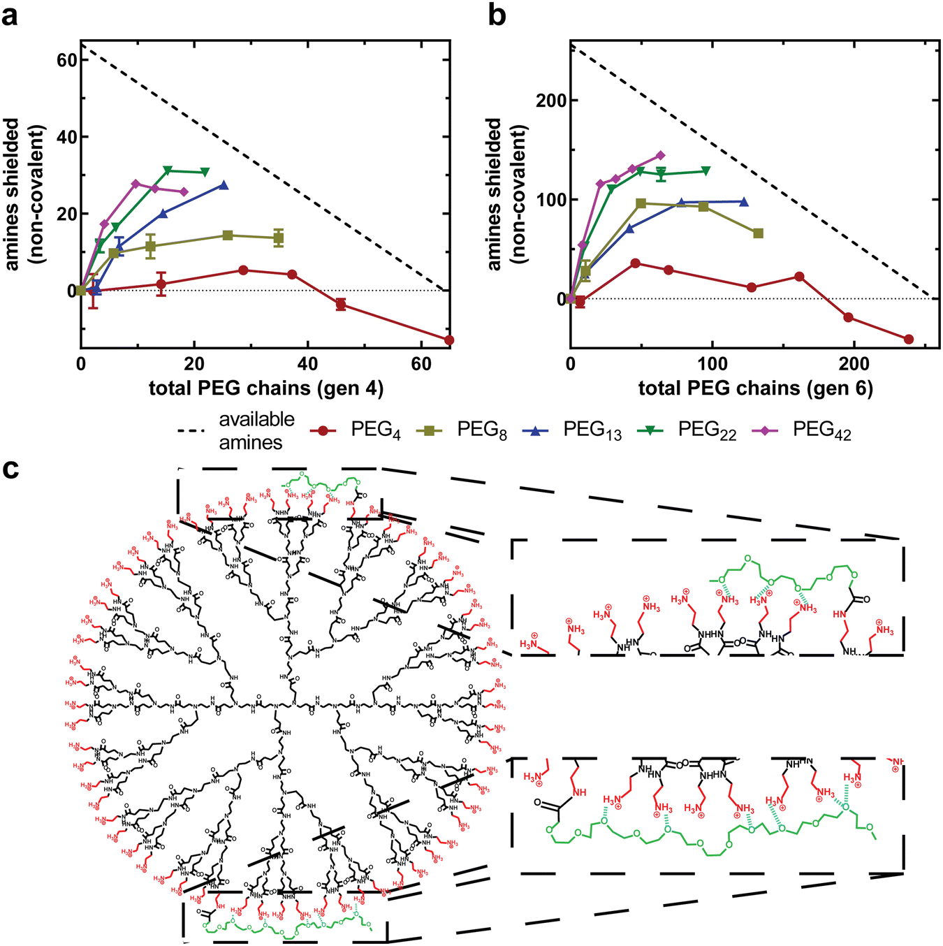 Charge shielding effects of PEG bound to NH 2 -terminated PAMAM ...