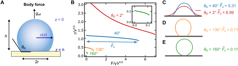 Droplet detachment force and its relation to Young–Dupre adhesion ...