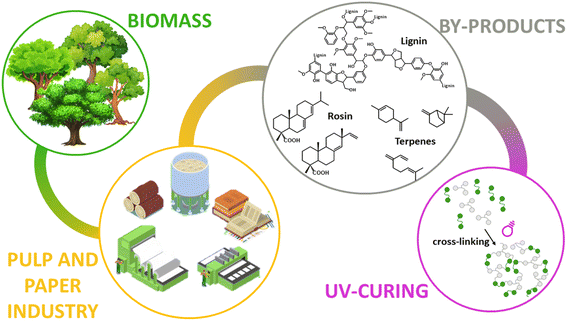 Replacing all petroleum-based chemical products with natural biomass ...