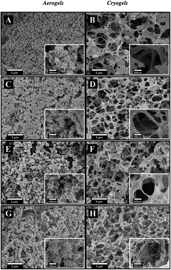 Upcycling of textile waste into high added value cellulose porous ...
