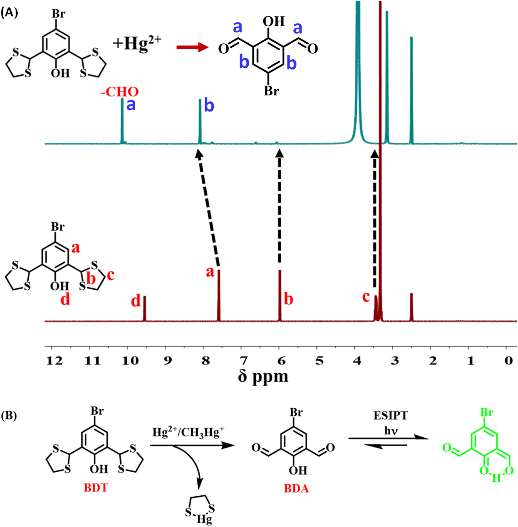 Engineering a bromophenol derivative for rapid detection of Hg 2+ /CH 3 ...