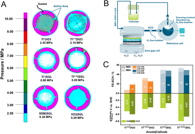 Both sides matter: anode configurations alter the activity of ...
