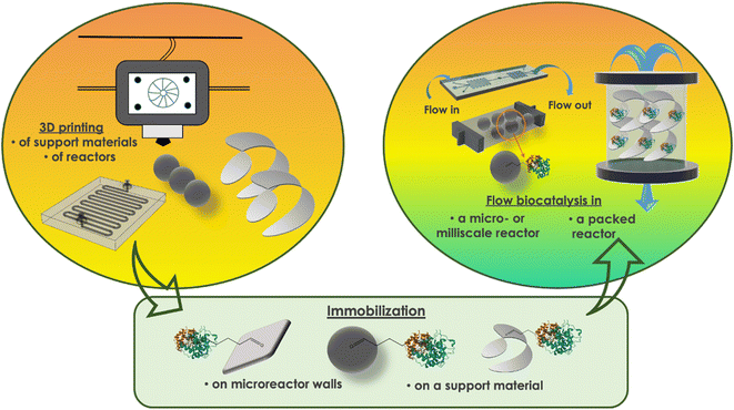 3D printing for flow biocatalysis - RSC Sustainability (RSC Publishing ...