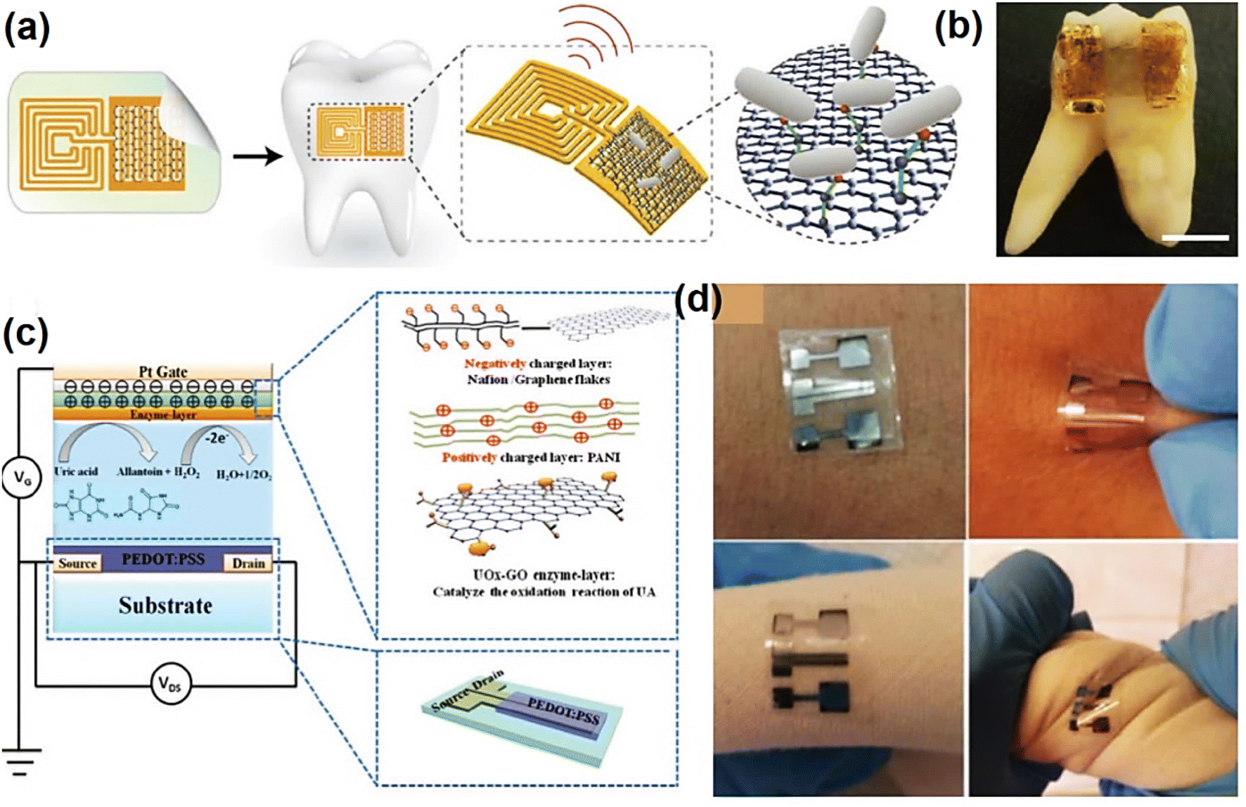2D material-based sensing devices: an update - Journal of Materials ...