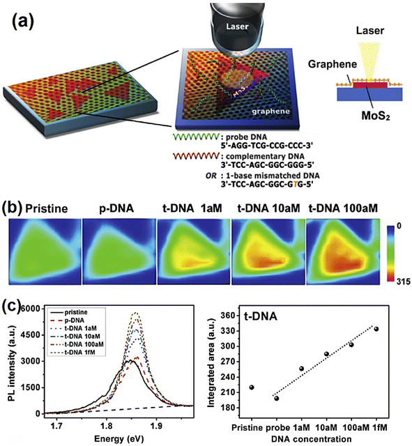 2D material-based sensing devices: an update - Journal of Materials ...