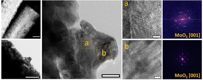 Probing the activity and stability of MoO 2 surface nanorod arrays for ...
