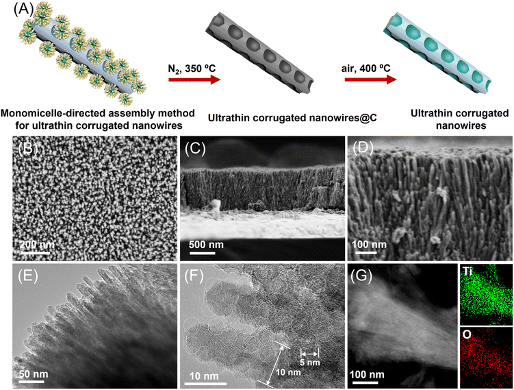 Ultrathin corrugated nanowire TiO 2 as a versatile photoanode platform ...
