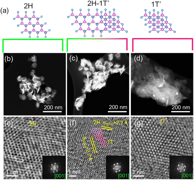 Engineering polymorphs in colloidal metal dichalcogenides: precursor ...