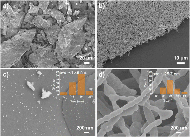 Nanoparticle exsolution via electrochemical switching in perovskite ...