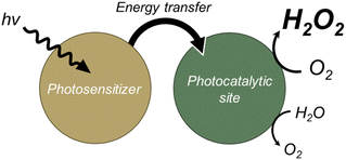 Photosynthesis of hydrogen peroxide from dioxygen and water using ...