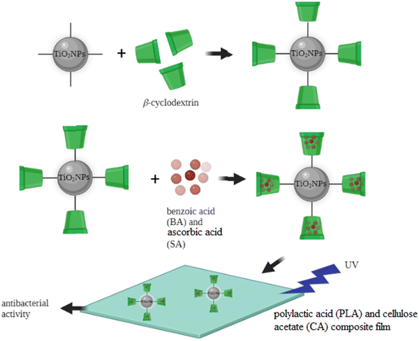 Surface modification of TiO 2 nanoparticles with organic molecules and ...