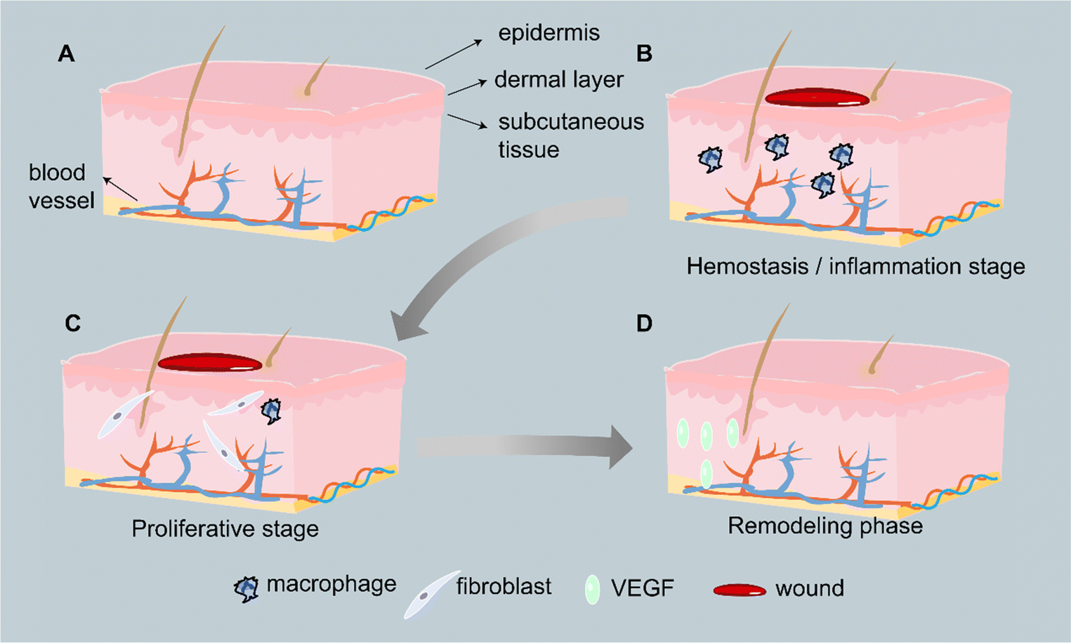 Smart microneedle patches for wound healing and management - Journal of ...